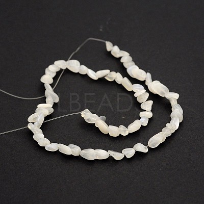 Natural White Moonstone Bead Strands - Lbeads.com